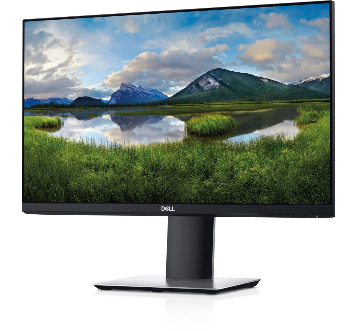 Dell Monitors